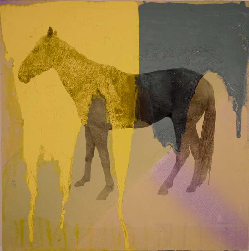 2019 Museum News for Holly Roberts